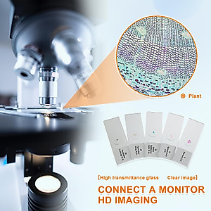 HUAREW 30 Pcs Microscope Slides with Specimens for Kids, Glass Prepared Slides Set for Microscope Accessories, Biology Gifts and Basic Science for Kid Education