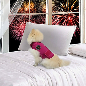 MCHY Dog Anxiety Vest, Anxiety Relief for Dogs, Dog Calming Coat (Rose S)