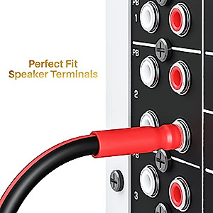 GearIT 14 AWG Speaker Cable Wire with Banana Plugs (2 Pack, 6.6 Feet - 2 Meter) 14Ga Gauge Banana Wire for Bi-Wire Bi-Amp HiFi Surround Sound - 99.9% OFC Copper, Gold Plated Tips - Black, 6 Ft