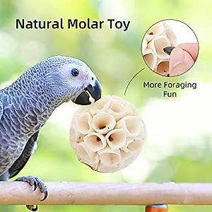 andwe Bird Toy Sola Balls - Natural Soft Chew Shredding & Foraging Toy for Cockatiel Conure Quaker Parrot Budgie Parakeet Rabbit Bunny Guinea Pig Chinchilla (Style 2 (Pack of 6))