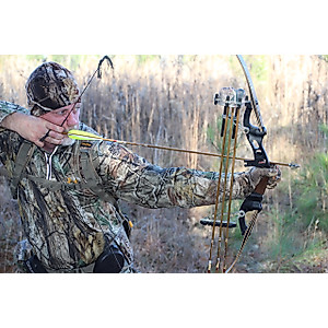 Wasp Archery SharpShooter Traditional 150 Grain Cut On Contact Broadhead