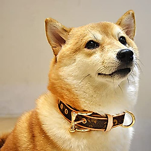 Thankspaw Leather Dog Collar Soft & Durable Strong Waterproof Collars Adjustable for Small Medium Large Dogs Brown M