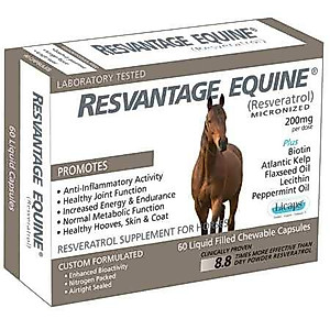 Resvantage Equine Supplement 60 chewable resveratrol Liquid Filled Capsules for Horses