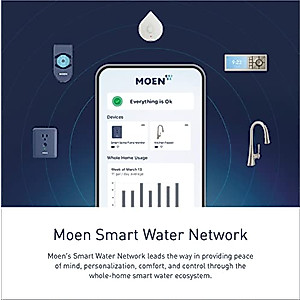 Moen Terra Beige Smart Shower 2-Outlet Digital Shower System Controller for Thermostatic Shower Valve, TS3302TB