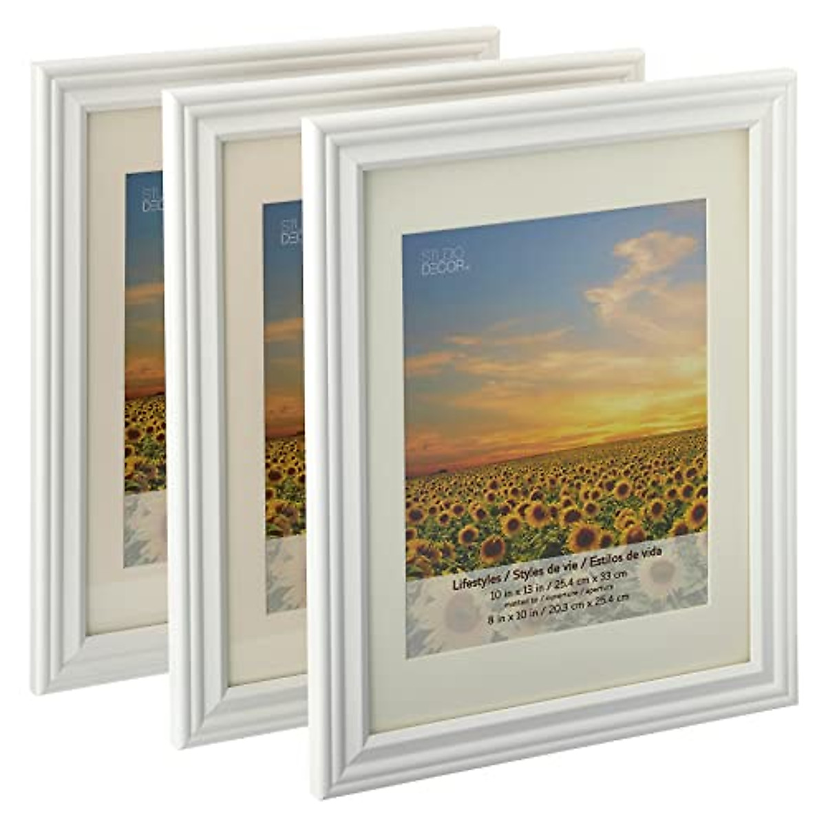 MICHAELS Bulk 4 Packs: 3 ct. (12 total) White 8”; x 10”; Frame with Mat, Lifestyles by Studio Décor®