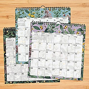 Willow Creek Press Botanical Nature Monthly Spiral-Bound 2024 Wall Calendar (12" x 12")