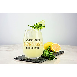 You're My Favorite Bitch To Bitch About Bitches With, Funny Wine Glasses Gifts for Women, Birthday Christmas Friendship Gifts for Coworker, Sister, Wife, BFF, Roommates, Bachelorette Party Gifts, 17oz