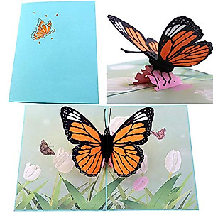Aloha Cards 3D Pop Up Greeting Cards For Birthdays, Thank You, All Occasions/Packaged with Envelope Protective Bag (4 Pack: Butterfly, Lily Bouquet, Cupcake, Birthday Cake)