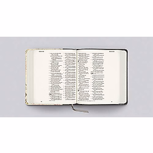 ESV Journaling Bible (Printed TruTone, Elegant Grace)