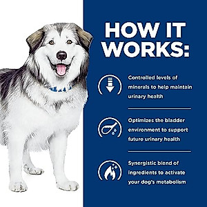 Hill's Prescription Diet c/d Multicare + Metabolic Chicken Flavor Dry Dog Food, Veterinary Diet, 24.5 lb. Bag