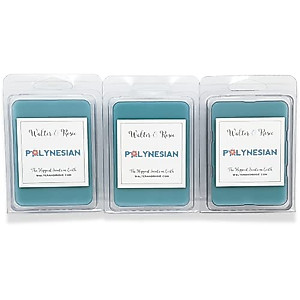 Walter & Rosie Candle Co. - Polynesian - 3 Pack - Wax Melt Inspired by Disney Scents - Smell Like Disney Resorts - The Happiest Scents on Earth - Soy Blend - Up to 18 Hrs