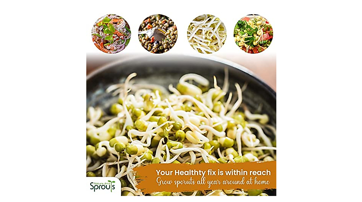 Nature Jims Mung Bean Sprout Seeds - Nutrient-Rich & Non-GMO