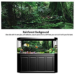 Yuehuam Fish Tank Background PVC 3D Aquarium Rainforest Background Poster Fish Tank Wall Picture Painting Decoration Self Adhesive Sticker for Reptile Box(Various Sizes)