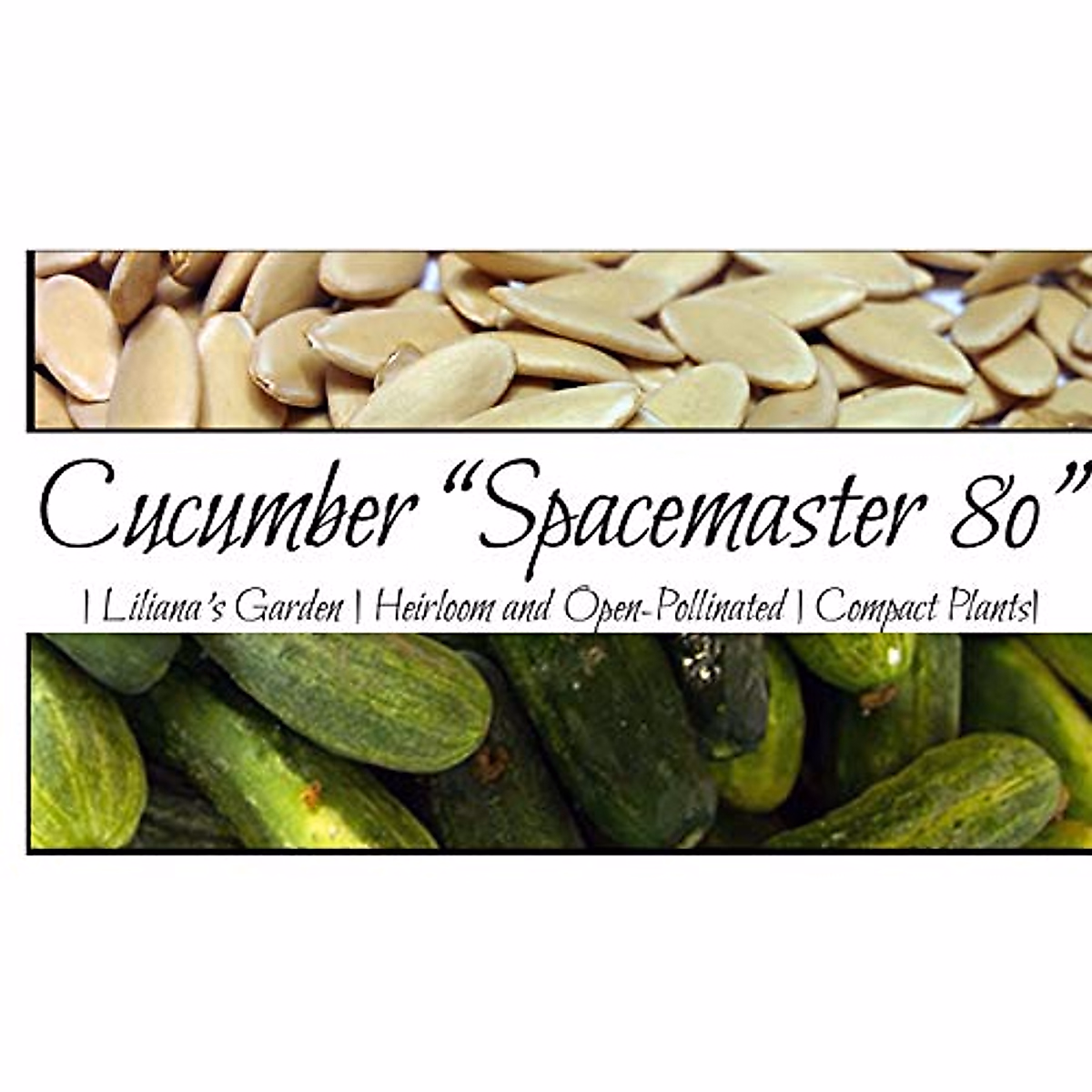 Ultra-Compact Cucumber Plant Seeds “Space Master 80” - Ideal for Container Gardens and Patio Gardens – Heirloom Seeds | Liliana's Garden |