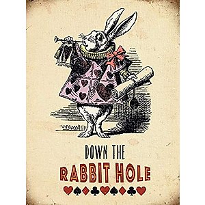 Wallors Metal Signs Vintage Alice in Wonderland - Rabbit Hole Tin Sign 8 x 12 Wall Decor Unique Plaques Poster for Home Cafe Bar