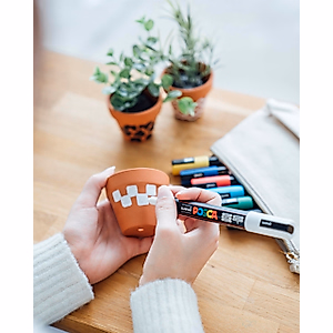 Uni Posca Paint Marker FULL RANGE Bundle Set , Mitsubishi Poster Colour ALL COLOR Marking Pen Medium Point ( PC-5M ) 29 Colours ( 22 Standard & 7 Natural ) Japan Import