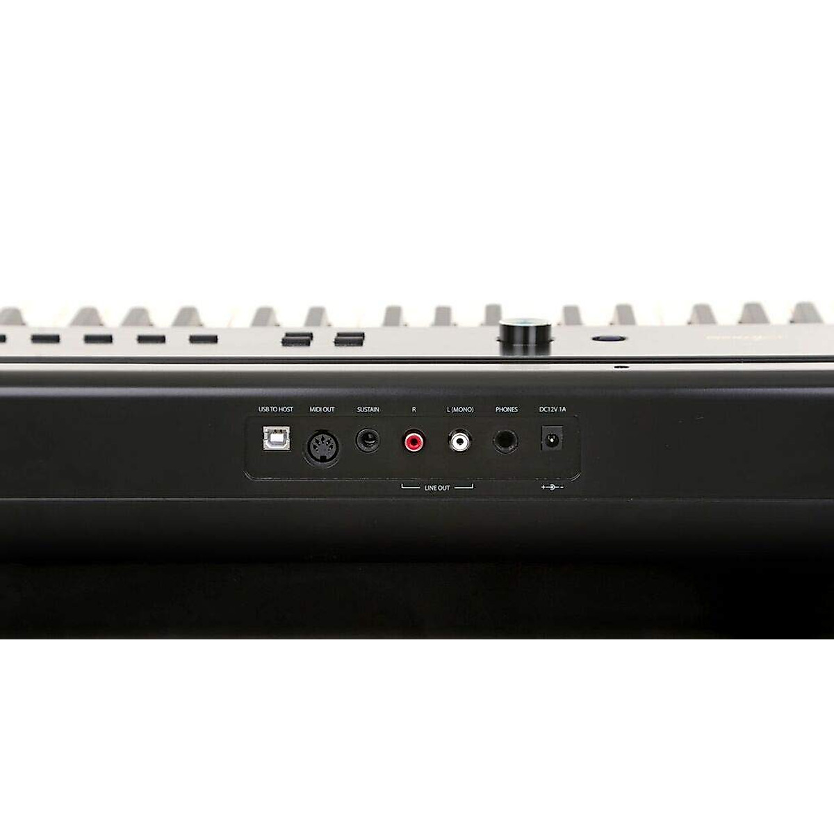 Artesia PA-88H 88-Key Weighted Hammer Action Digital Piano with Sustain Pedal and Power Supply (Black)