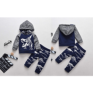 Baby Boys Dinosaur Long Sleeve Hoodie Tops Sweatsuit Pants Winter Outfit Set Gray