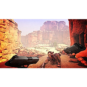 Arizona Sunshine (PSVR) (PS4)