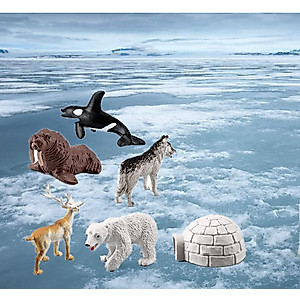 NatureMan Mini Arctic Animals Toys Set 10PCS Polar Animal Figurines Toy Play setIncludes Polar Bear Seal Reindeer Wolf Rabbit Arctic Fox Igloo for ToddlersBirthdayGift