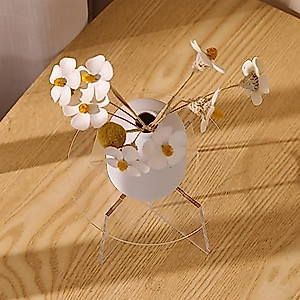 YourGift 6 inches Mini Plant Stand Indoor, Acrylic Planter Stand for Indoor Plants, Desktop Round Plant Holder Shelf for Flower Pots Table Display Rack for Event Decor (Clear)