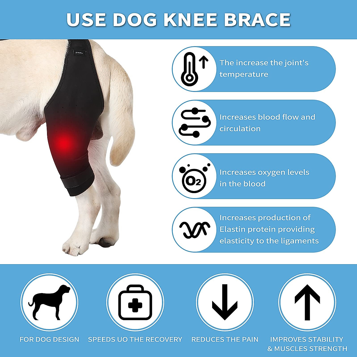 Noillow Dog Knee Brace, Dog Leg Brace for Sprain ACL, CCL, Arthritis - Keeps The Joint Warm and Stable, Leg Wounds Care and Prevent Licking, Dog Rear Leg Luxating Patella Brace-Right-L