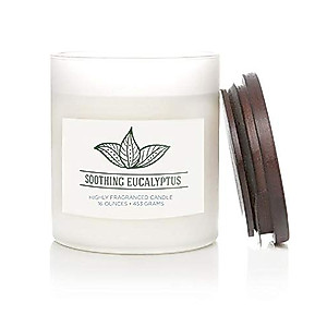 Colonial Candle Soothing Eucalyptus Scented Jar Candle, Wellness Collection, 2 Wick, 16 oz - Up to 120 Hours Burn