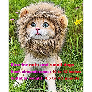 RosyLife Lion Mane Wig for Cat Costume Pet Adjustable Washable Comfortable Fancy Lion Hair Cat Clothes Dress for Halloween Christmas Easter Festival Party Activity (Brown)