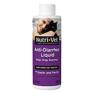 Nutri-Vet Anti-Diarrhea Liquid for Cats - Detoxifying Agent Works Against Bacterial Toxins - Helps Sooth Upset Stomach and Stop Diarrhea - 4 oz