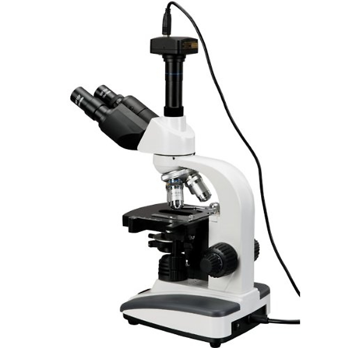 AmScope T360B-8M Digital Trinocular Compound Microscope, 40X-2000X Magnification, WF10x and WF20x Eyepieces, Brightfield, LED Illumination, Abbe Condenser, Double-Layer Mechanical Stage, Includes 8MP Camera with Reduction Lens and Software