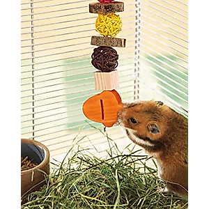 Xylolfsty Fall Themed Chew Toys for Rabbit Dwarf Hamster Bunny Guinea Pig Chinchilla Gerbil Pet Rat Small Animals Cage Hanging Teeth Grinding Accessories Autumn Thanksgiving Gifts 3PCS