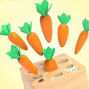 NIWWIN Educational Wooden Toys for Toddlers, Carrots Harvest Shape Size Sorting Game, Developmental Montessori Toys for Boys and Girls Preschool Learning Fine Motor Skill