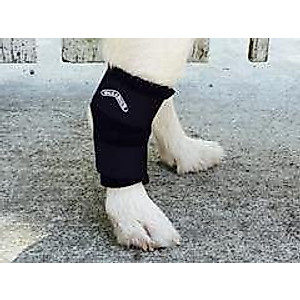 Walkabout Harnesses Hock Support Brace (Medlarge 4-5")