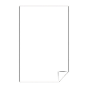 Wausau Exact Index Cardstock, 250 Sheets, White, 94 Brightness, 90 lb, 11 x 17 Inches