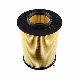 ECOGARD XA6149 Premium Engine Air Filter Fits Ford Focus 2.0L 2012-2018, Escape 2.0L 2013-2019, Escape 1.5L 2017-2019, Escape 1.6L 2013-2016, Focus 1.0L 2015-2018, EcoSport 1.0L 2019