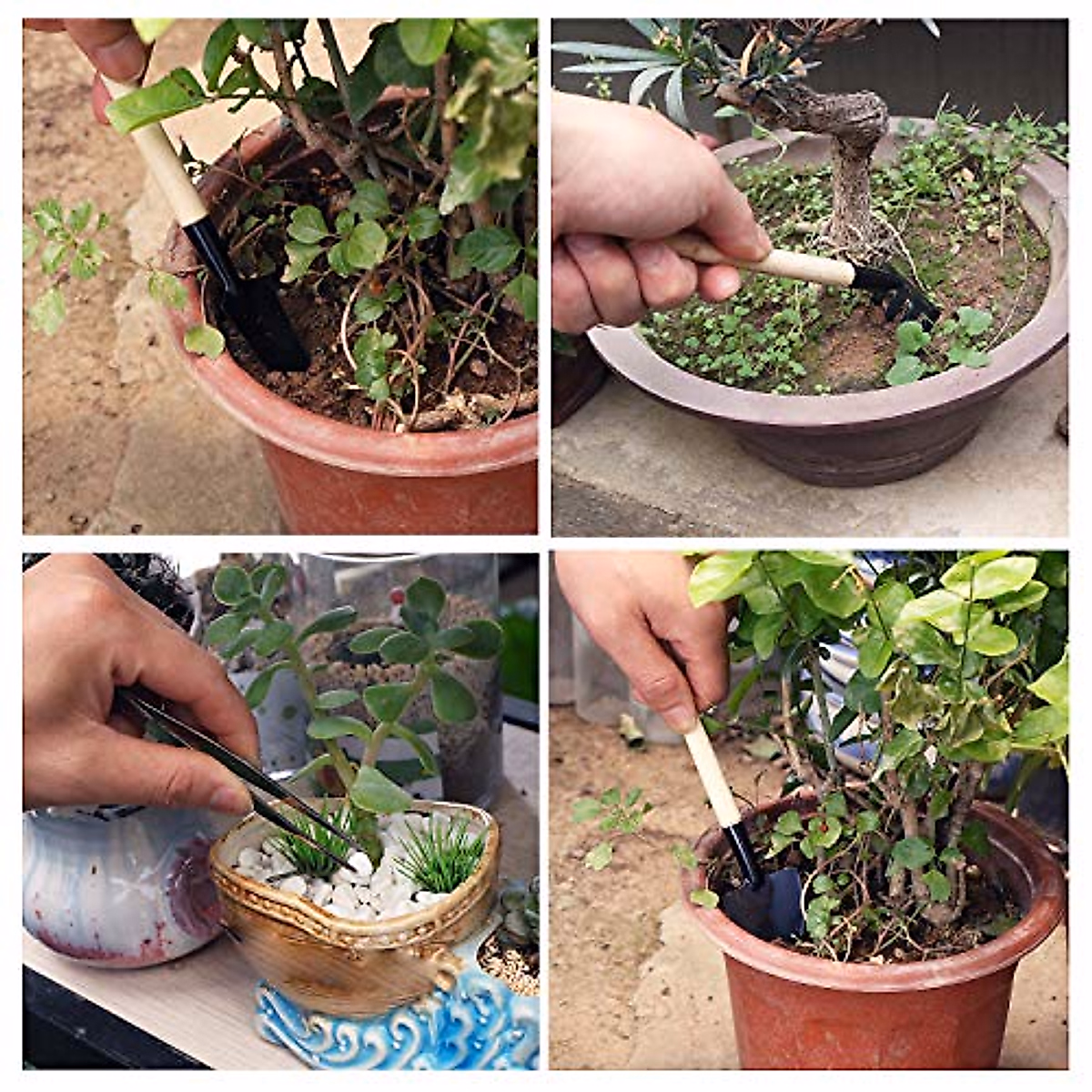 Sanlykate Bonsai Tool Kit 8pc, Basic Trimmer Set Include Pruner, Fold Scissors, Tweezer, Spades, Rake