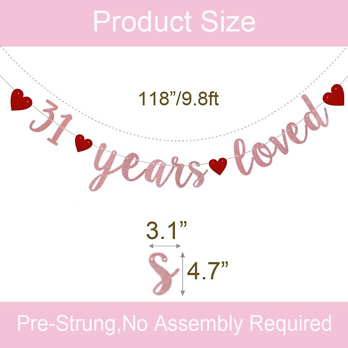 31 Years Loved Banner, Pre-Strung,Rose Gold Glitter Paper Garlands for 31st Birthday/Wedding Anniversary Party Decorations Supplies, No Assembly Required,Rose Gold,SUNbetterland