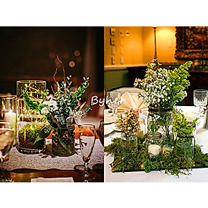 Byher 92926 Preserved Forest Moss, Fresh Green (2OZ)