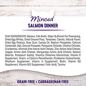 Wellness Complete Health Natural Grain Free Wet Canned Cat Food, Minced Salmon Entree, 3-Ounce Can (Pack of 24)