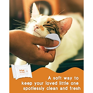 FriPuP Dog Eye Wipes, Travel Size Pet Wash Pads for Ear Face Wrinkle Cleaning, Gentle Tear Stain & Eye Discharge Remover for Cats Kitten Puppy, Essential Small Dog Items, Soft 100 Count (Pack of 2)