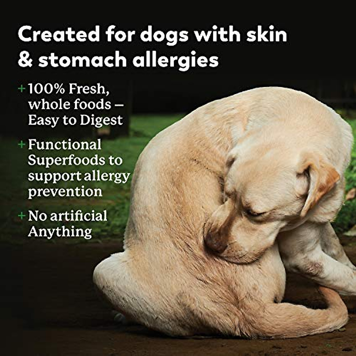 Dr. Harvey's Specialty Diet Allergy Turkey Recipe, Human Grade Dog Food for Dogs with Sensitivities and Allergies (5 Pounds)