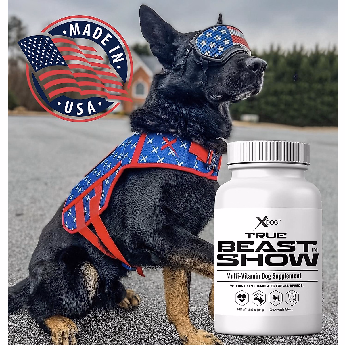 True Beast in Show Muscle Multivitamin for Dogs (Veterinarian Formulated): Vitamins, Minerals, Antioxidants, Digestive Enzymes, Fatty Acids, Amino Acids and Trace Minerals.