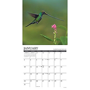 Hummingbirds 2021 Wall Calendar