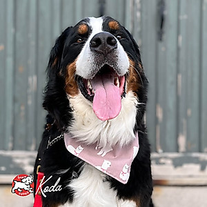 Fromm Gold Dog Food Weight Management (5 Lb)