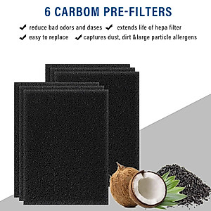 LBLVBNEWD 115115 Replacement Filter A Compatible with Winix PlasmaWave Air Purifier 6300, P300, 5300, 5500, 5300-2, 6300-2, C535 (2 Premium HEPA Filters + 6 Carbon Filters)