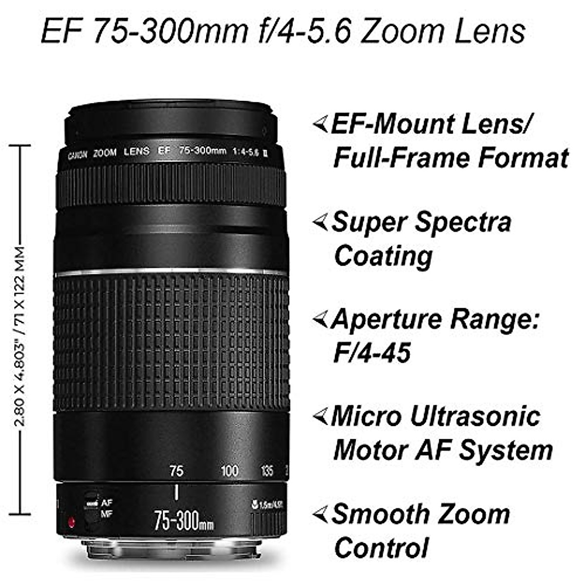 Canon EOS 2000D (Rebel T7) Digital SLR Camera 24.1MP Sensor with EF-S 18-55mm & 75-300mm Lens + ZeeTech Accessory Bundle for, SanDisk 128GB Memory Card, Case and Tripod (Renewed)