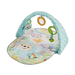 Fisher-Price Butterfly Dreams Musical Playtime Gym [Amazon Exclusive]