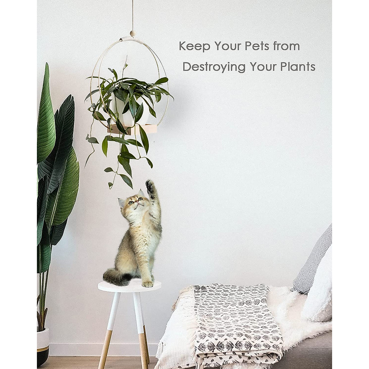 Dravmola Boho Macrame Plant Hanger - Gold, Indoor Use, Hanging Pot Not Included