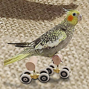 Mini Roller Skates for Parrot Double Row Toy Pet Intelligence Training Kit Supplies for Smaller Parrot