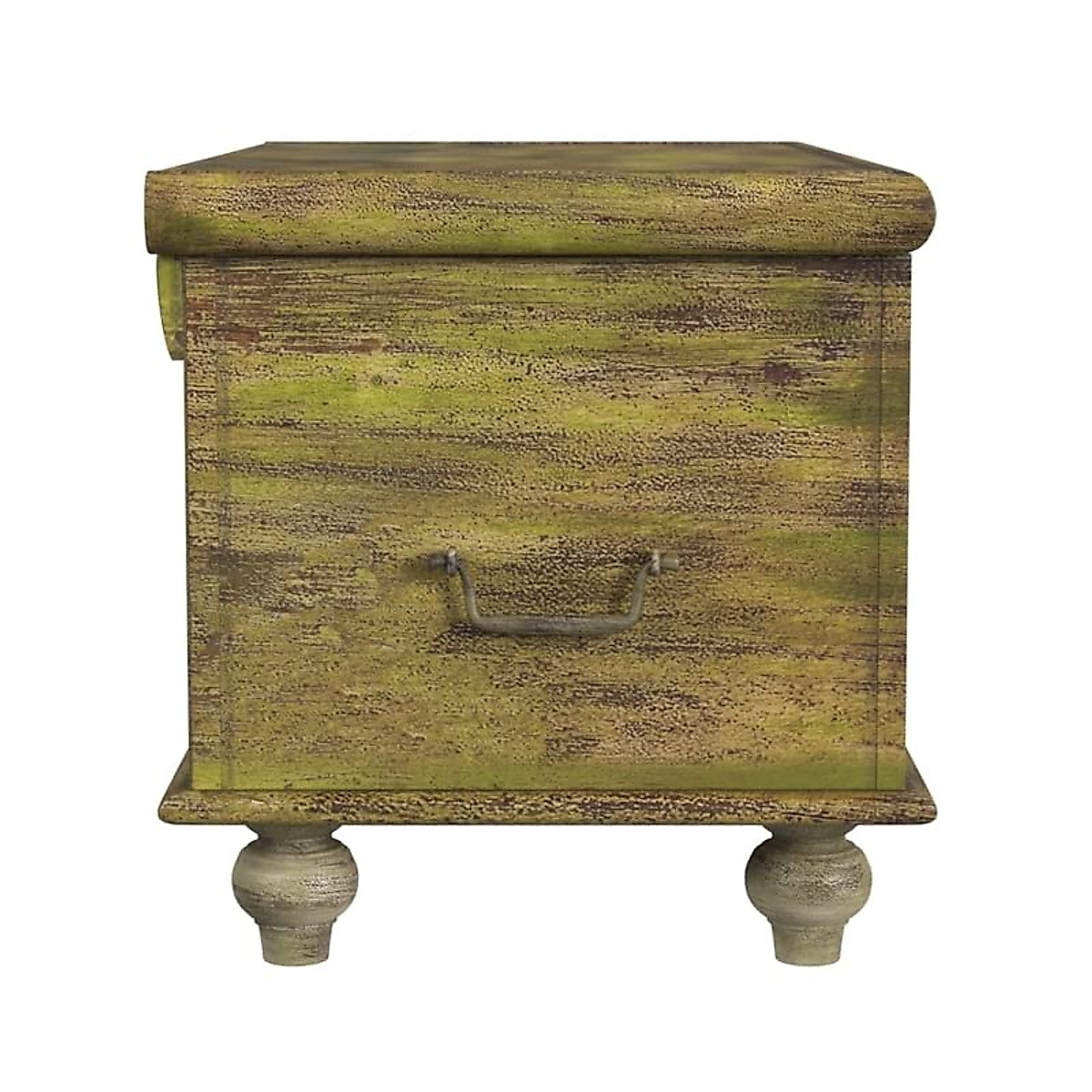 Beaumont Lane Rustic Mango Wood Trunk Coffee Table in Oak Brown